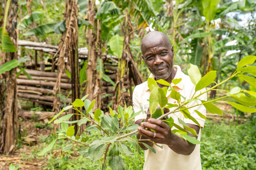 Projects – The Schwarzenegger Climate Initiative